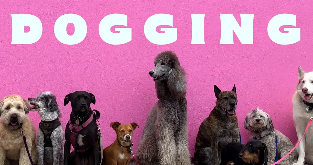 What Is Puppy Dogging