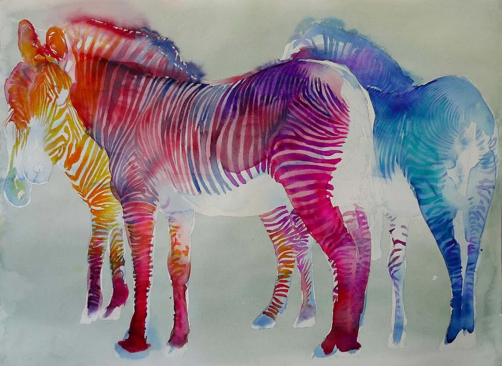Pictures Of Rainbow Zebras