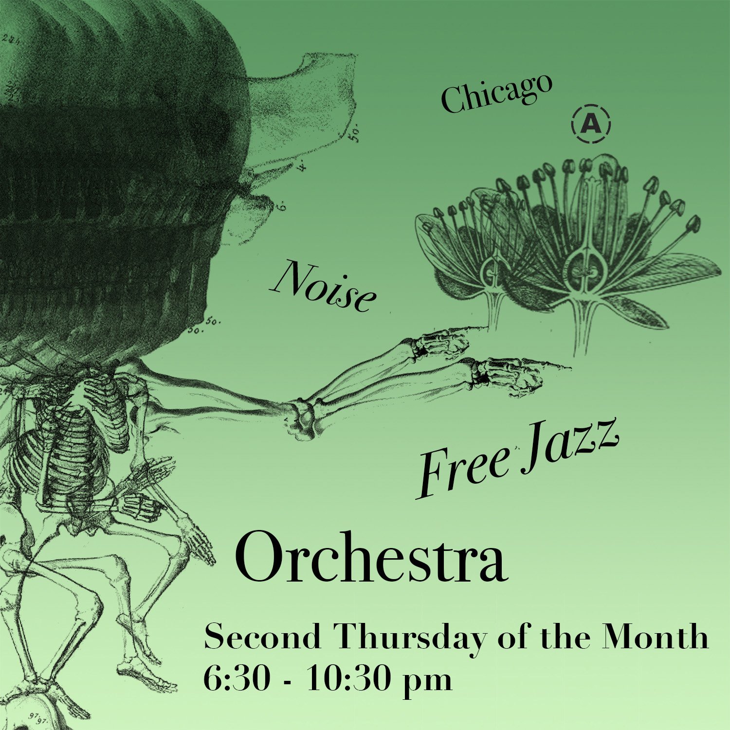 Chicago Noise Free Jazz Orchestra — Agitator Co op