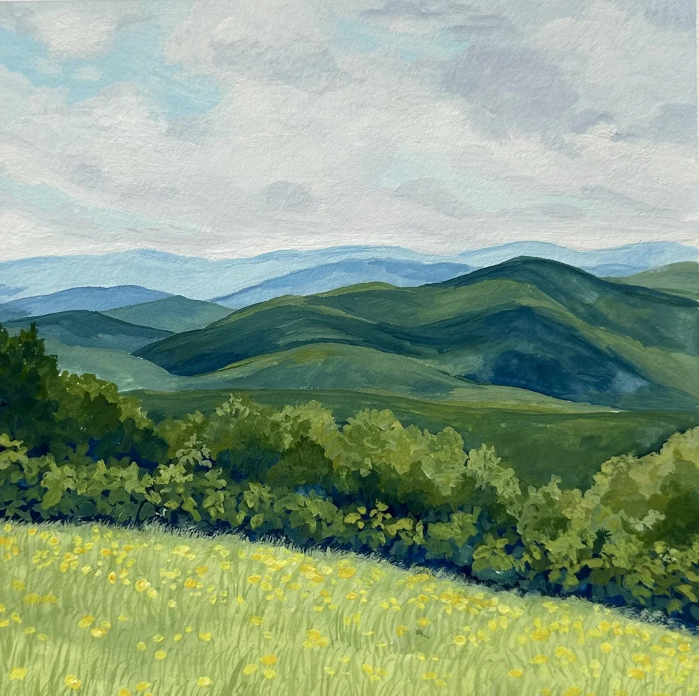 Shop — Lilly Carr Art