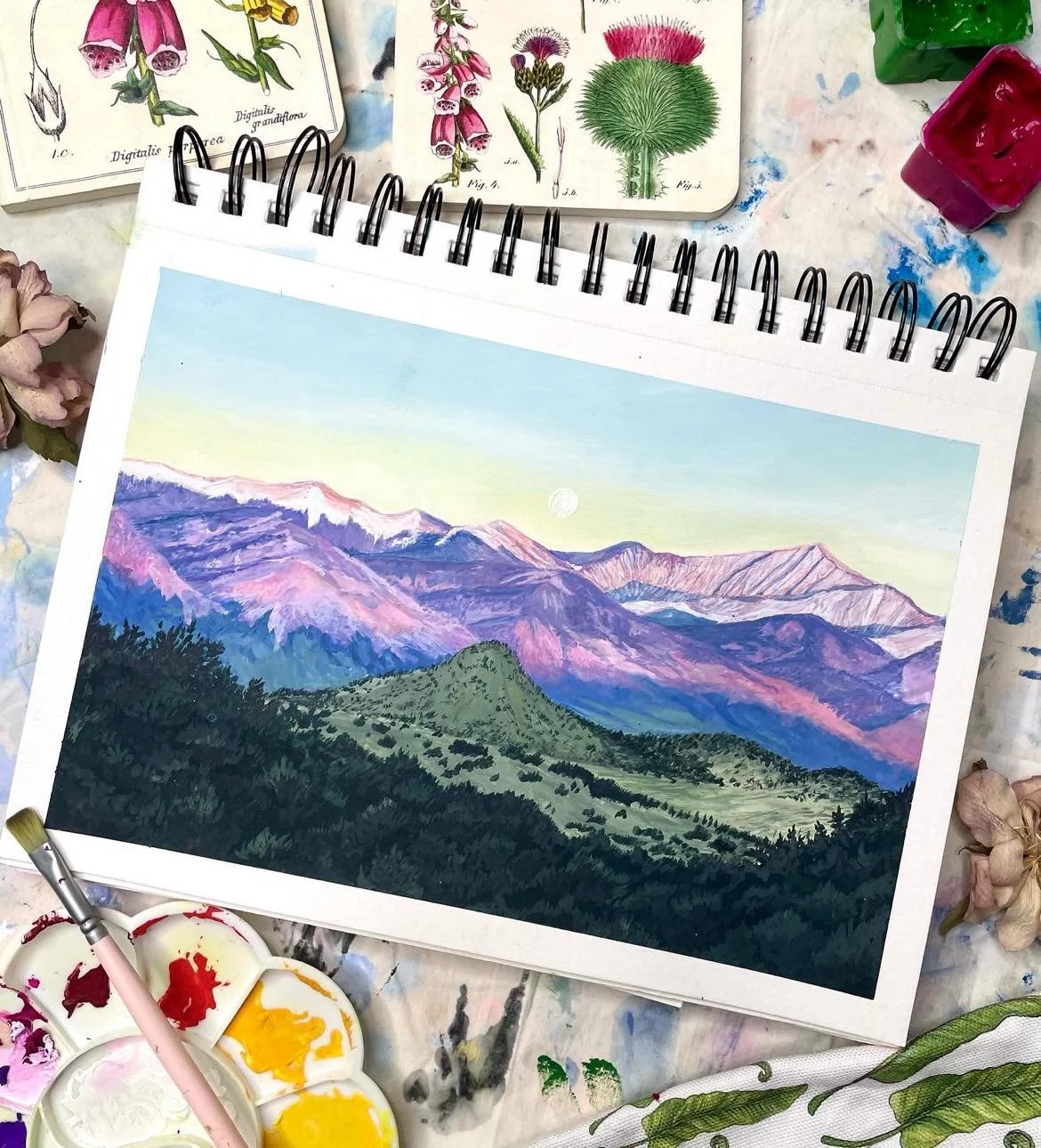 Lilly Carr Art