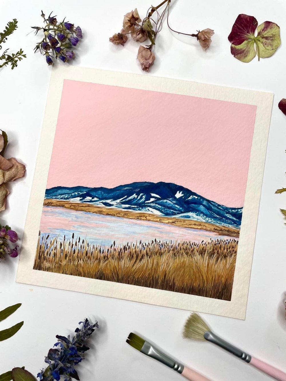 Shop — Lilly Carr Art