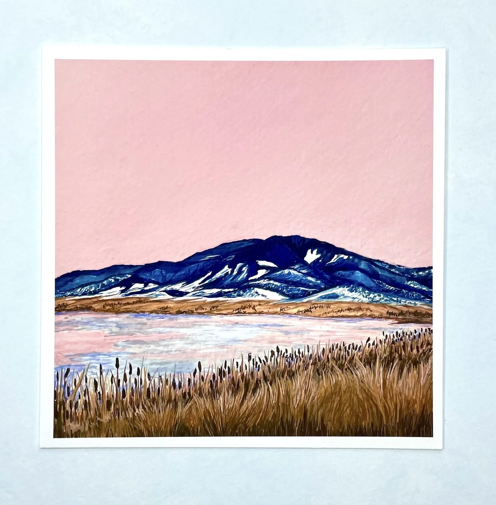 Shop — Lilly Carr Art