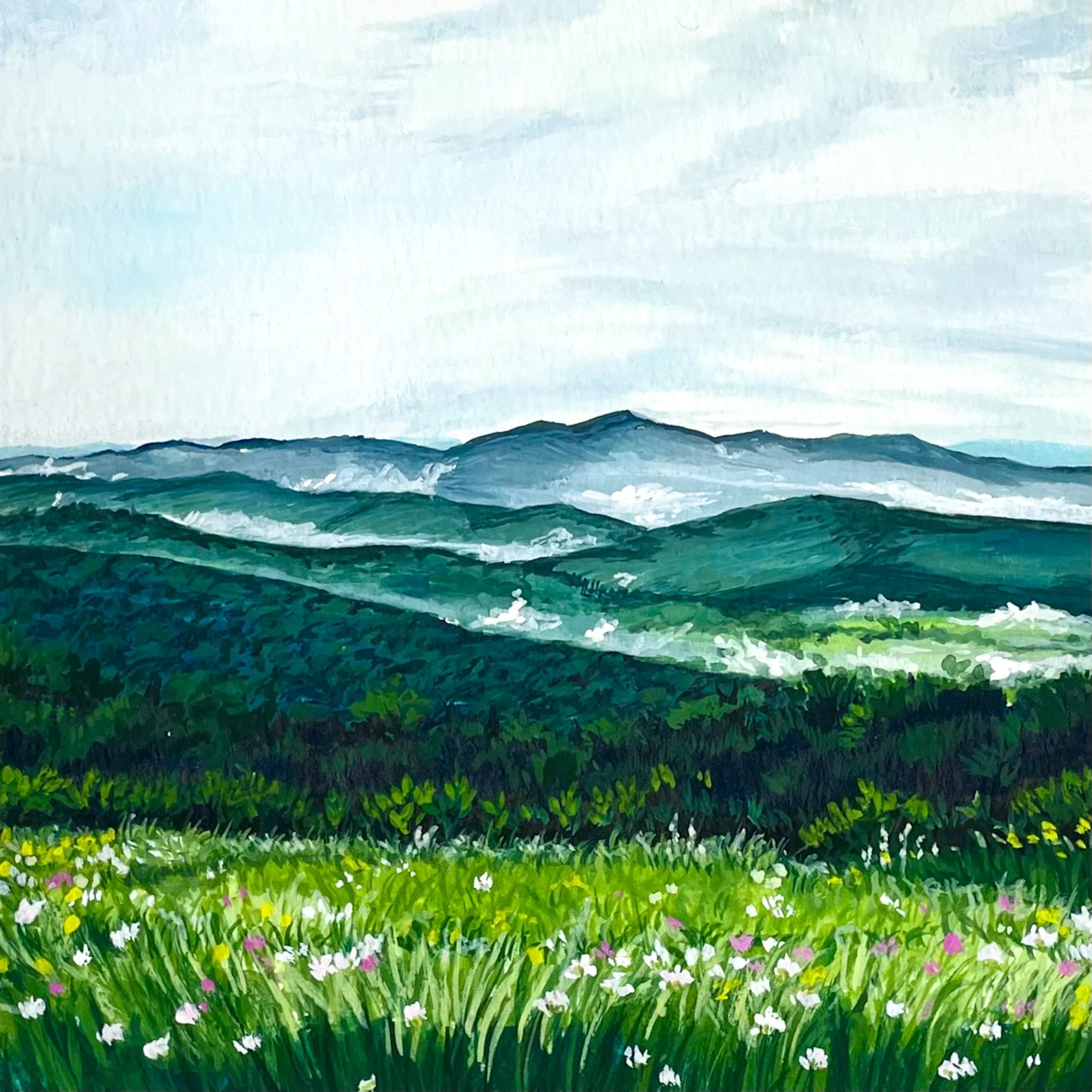 Shop — Lilly Carr Art