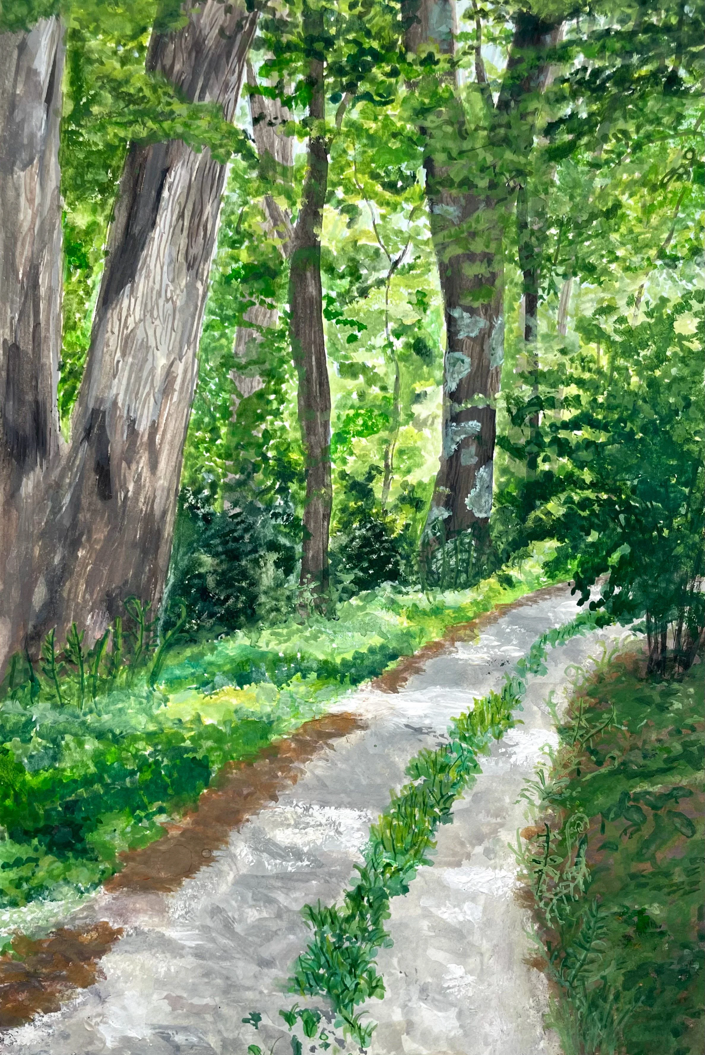 Shop — Lilly Carr Art
