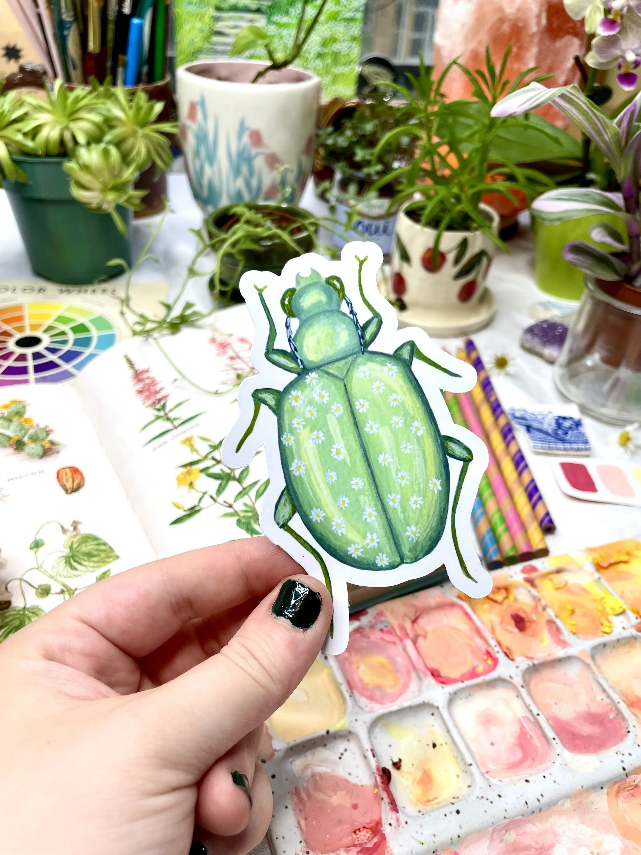 Shop — Lilly Carr Art