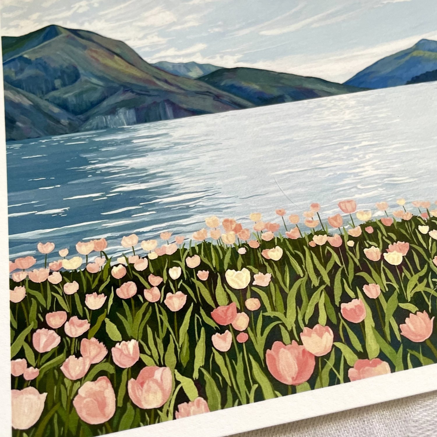 Shop — Lilly Carr Art