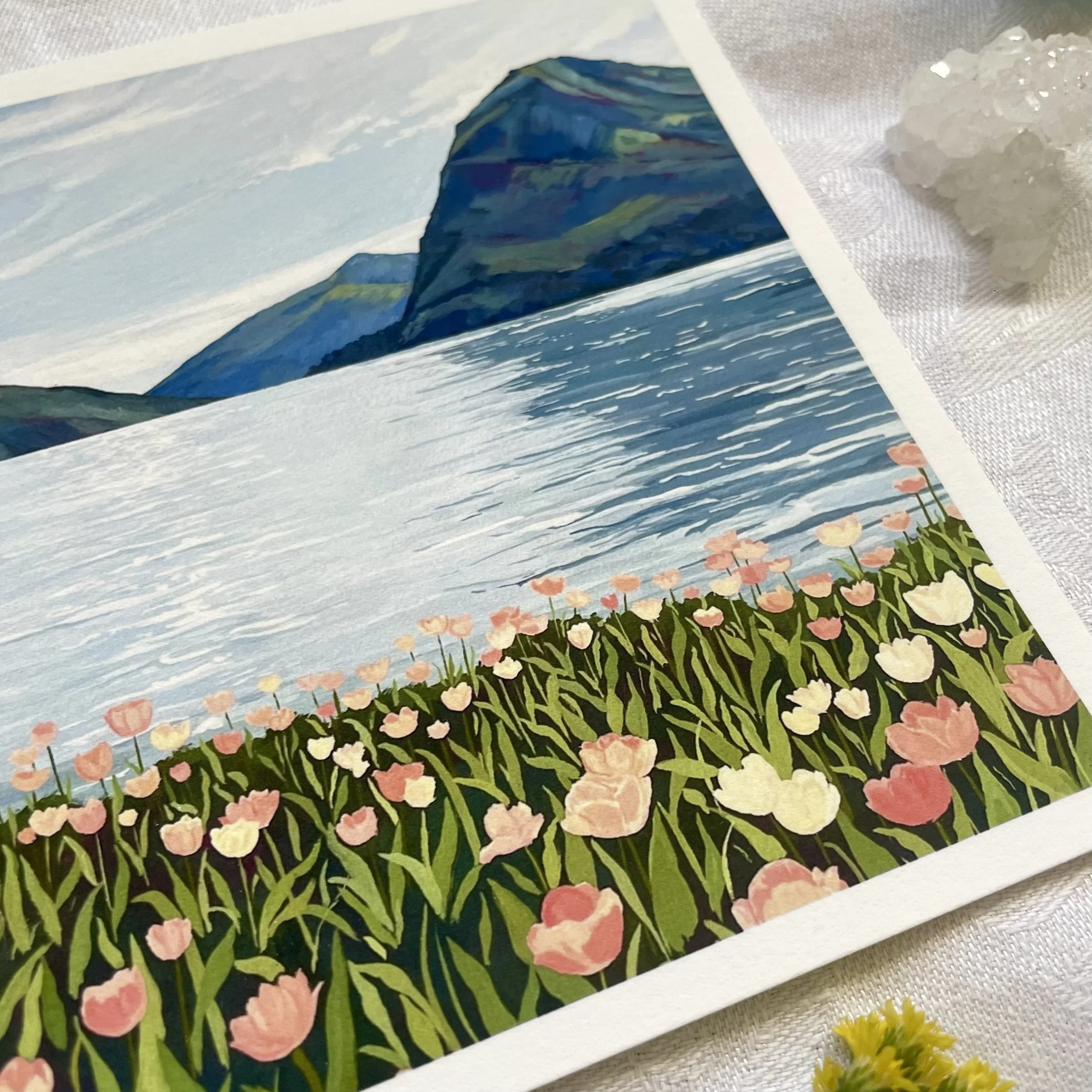 Shop — Lilly Carr Art