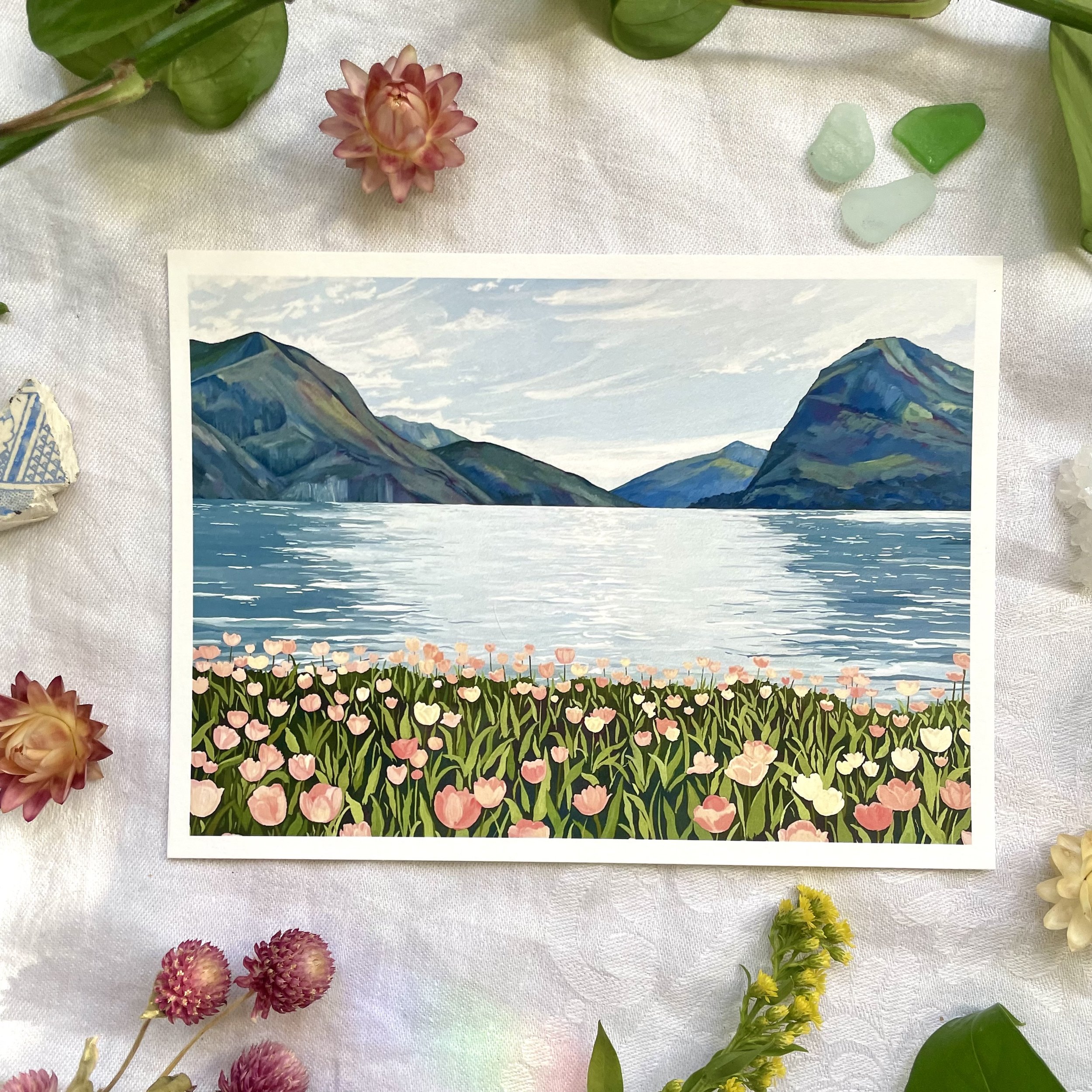 Shop — Lilly Carr Art