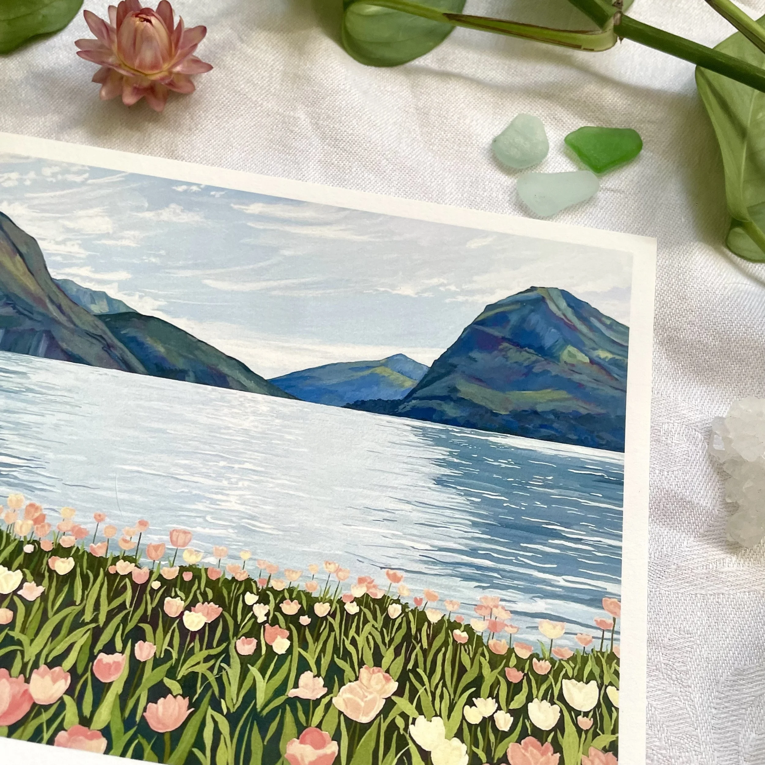 Shop — Lilly Carr Art