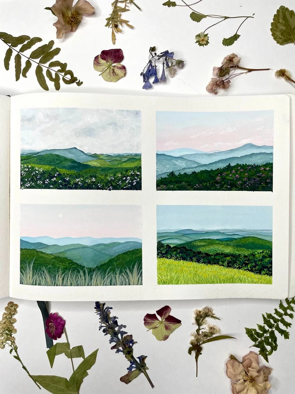 Lilly Carr Art