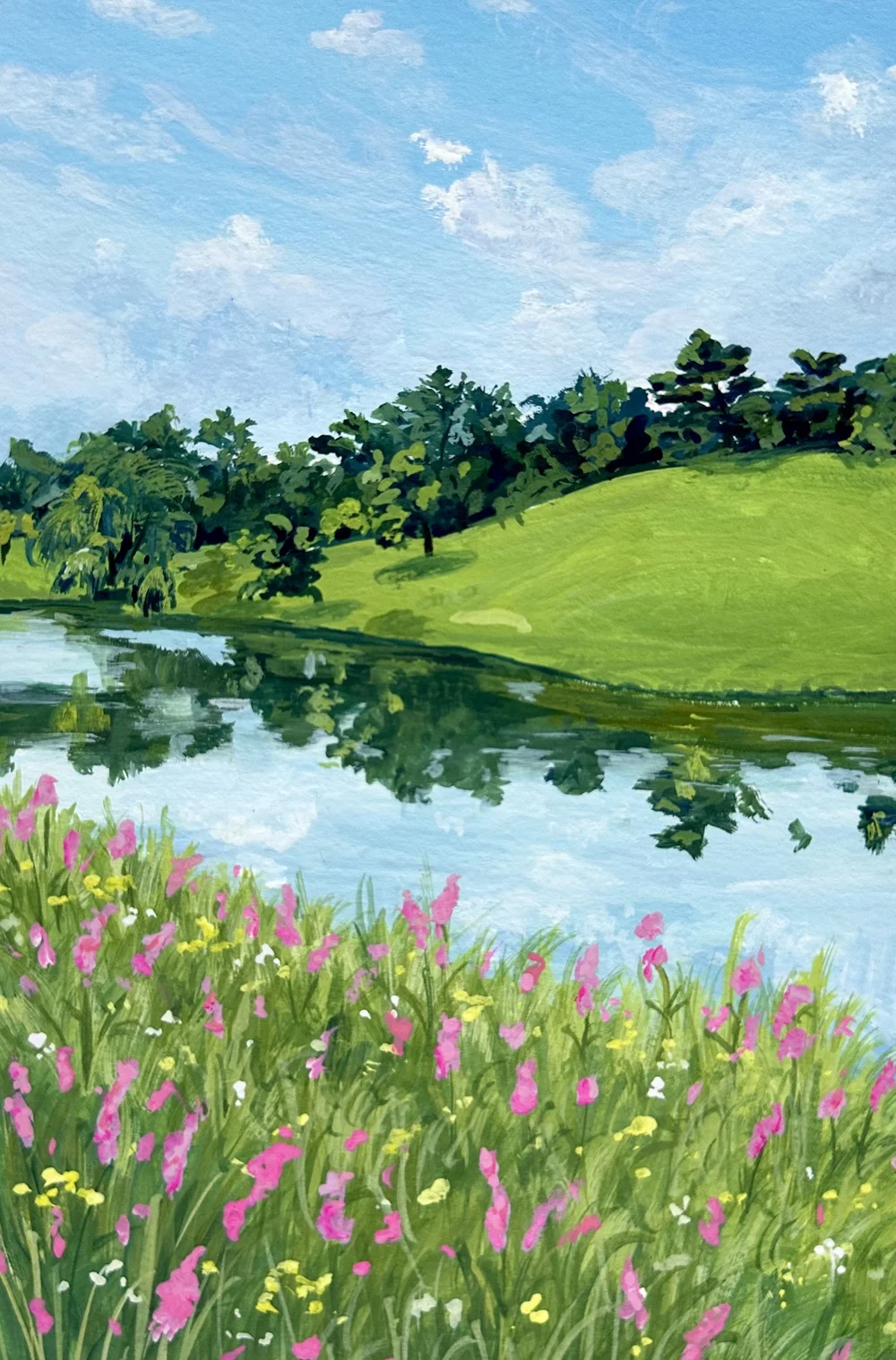 Shop — Lilly Carr Art