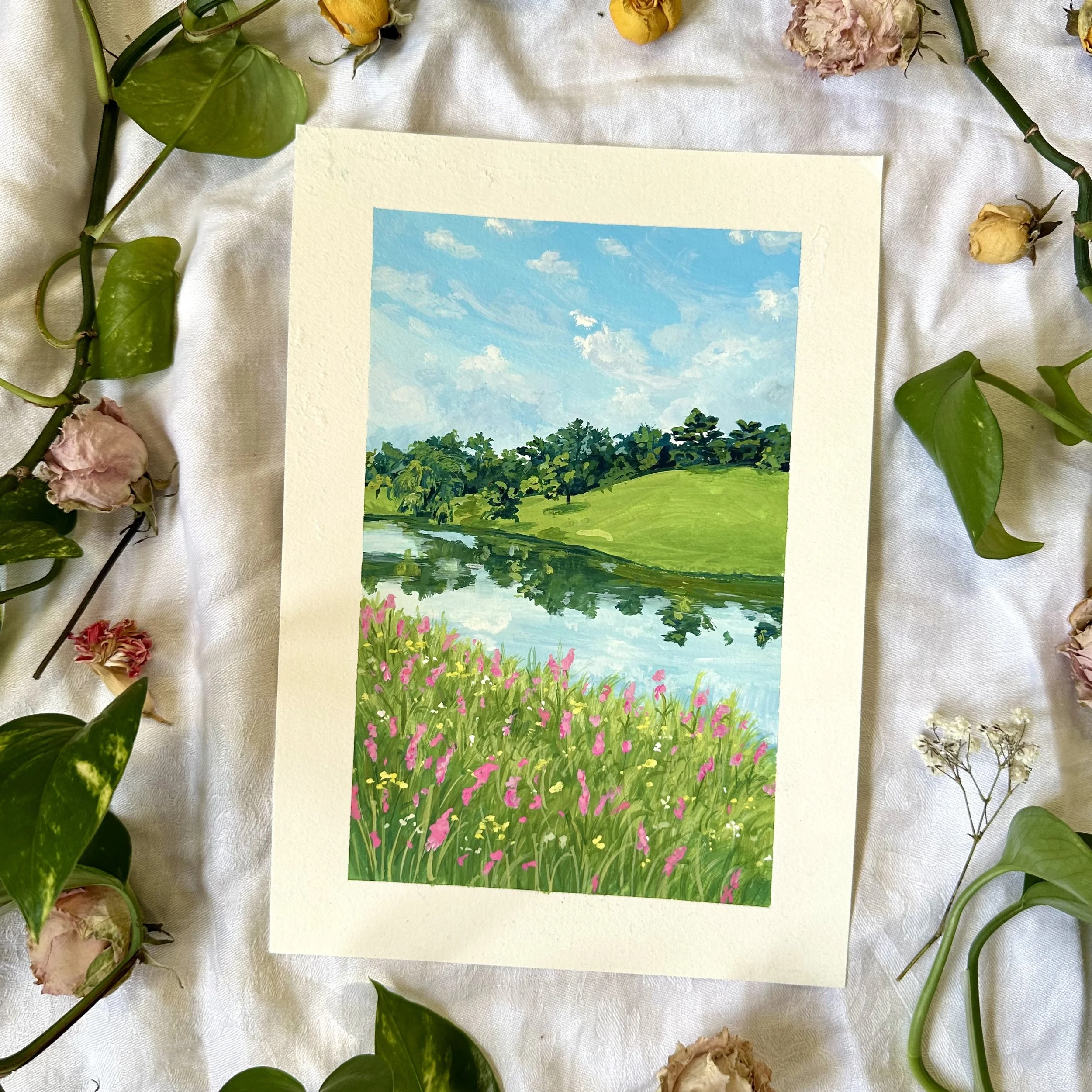 Shop — Lilly Carr Art