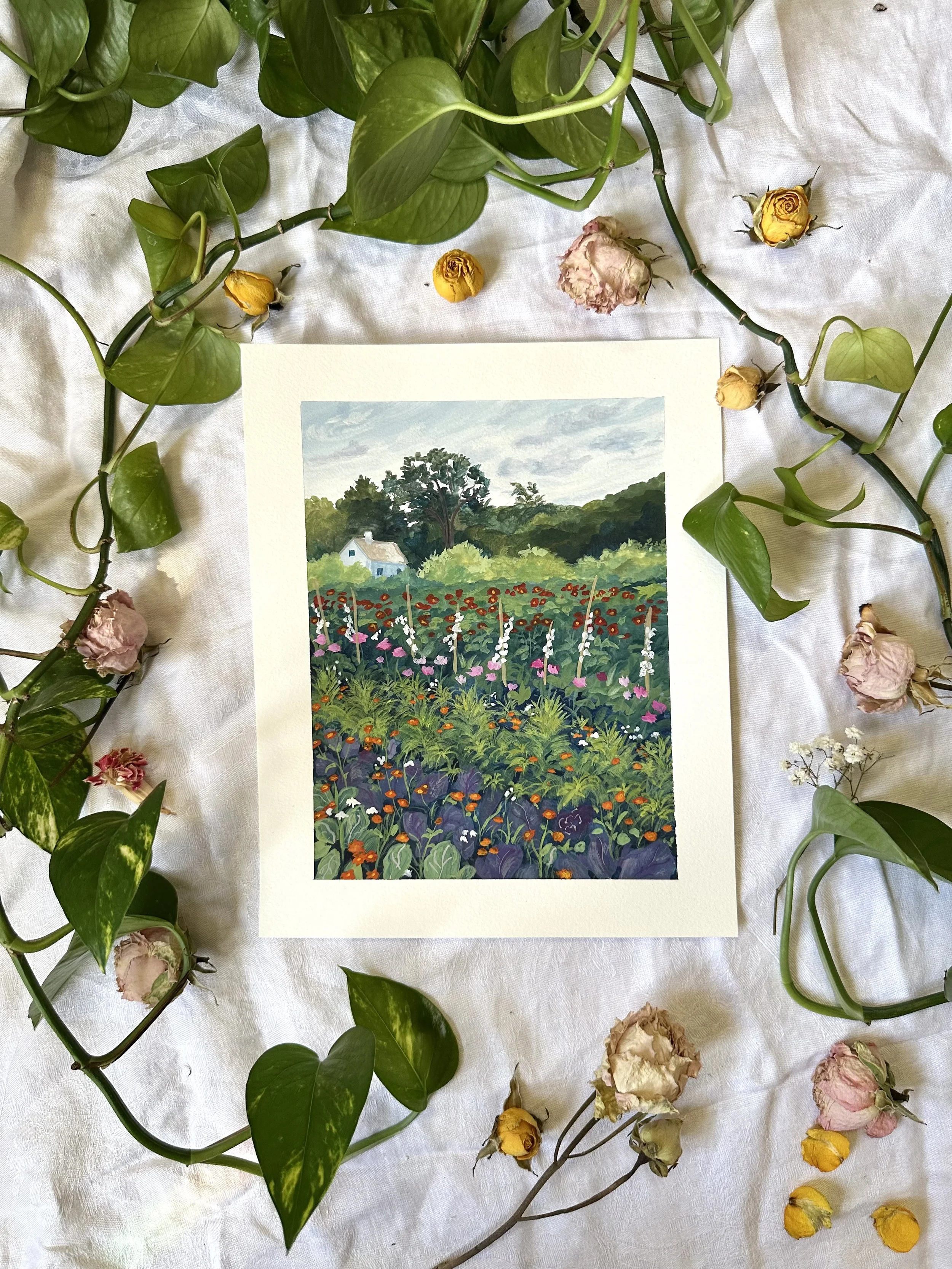 Shop — Lilly Carr Art