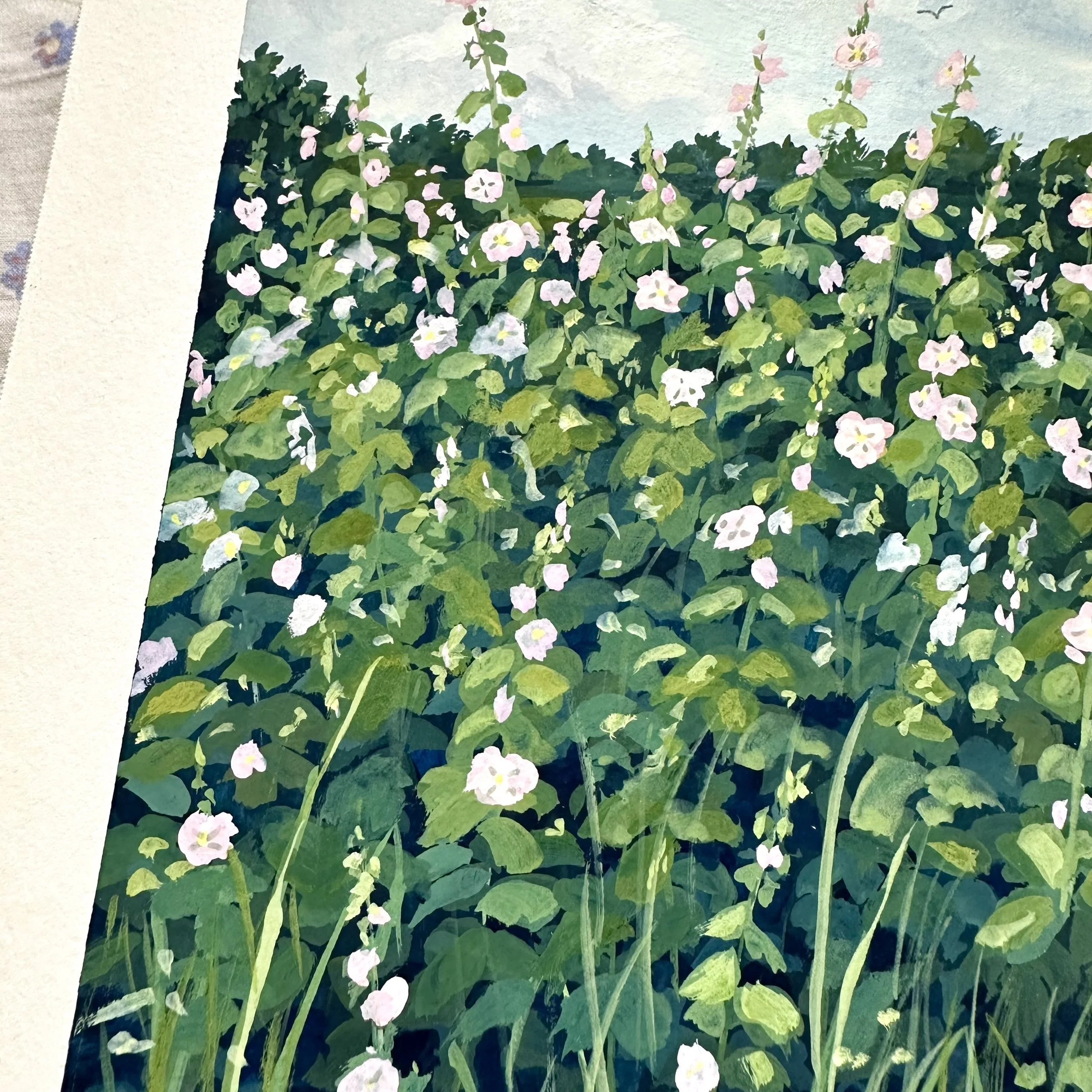 Shop — Lilly Carr Art