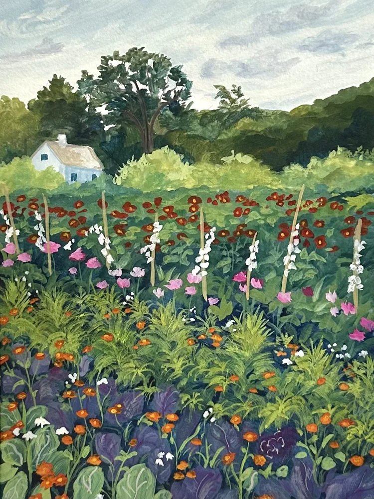 Shop — Lilly Carr Art