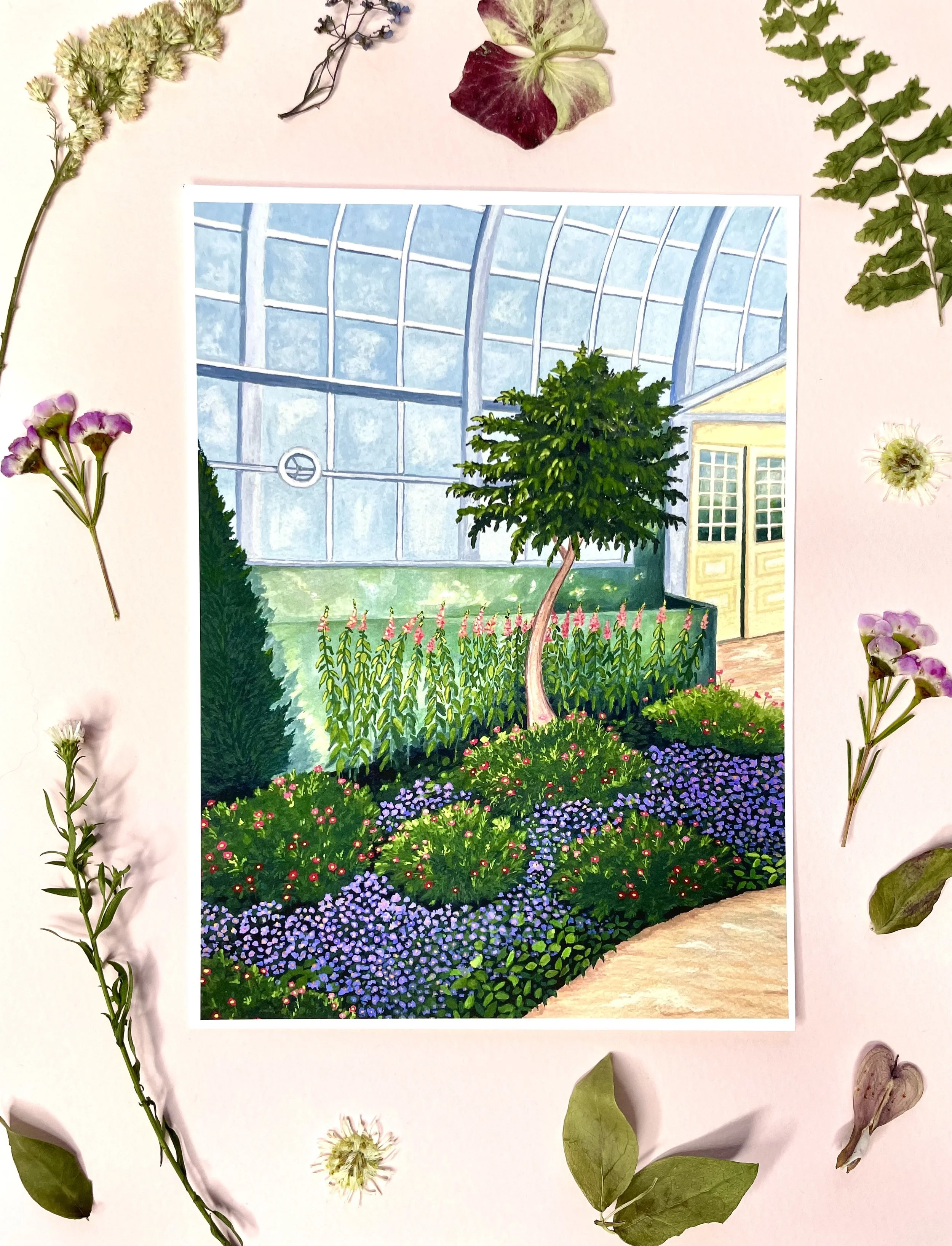 Lilly Carr Art
