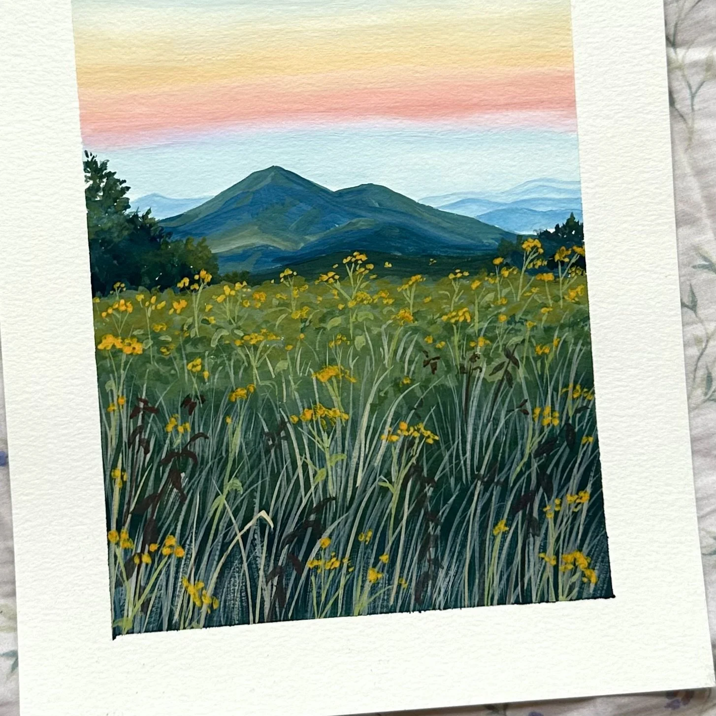 Shop — Lilly Carr Art