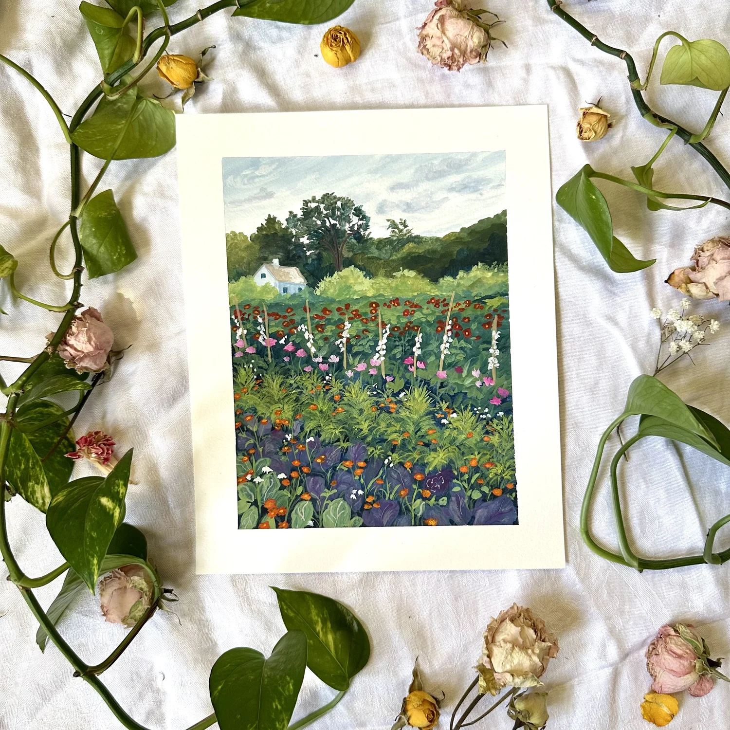 Shop — Lilly Carr Art