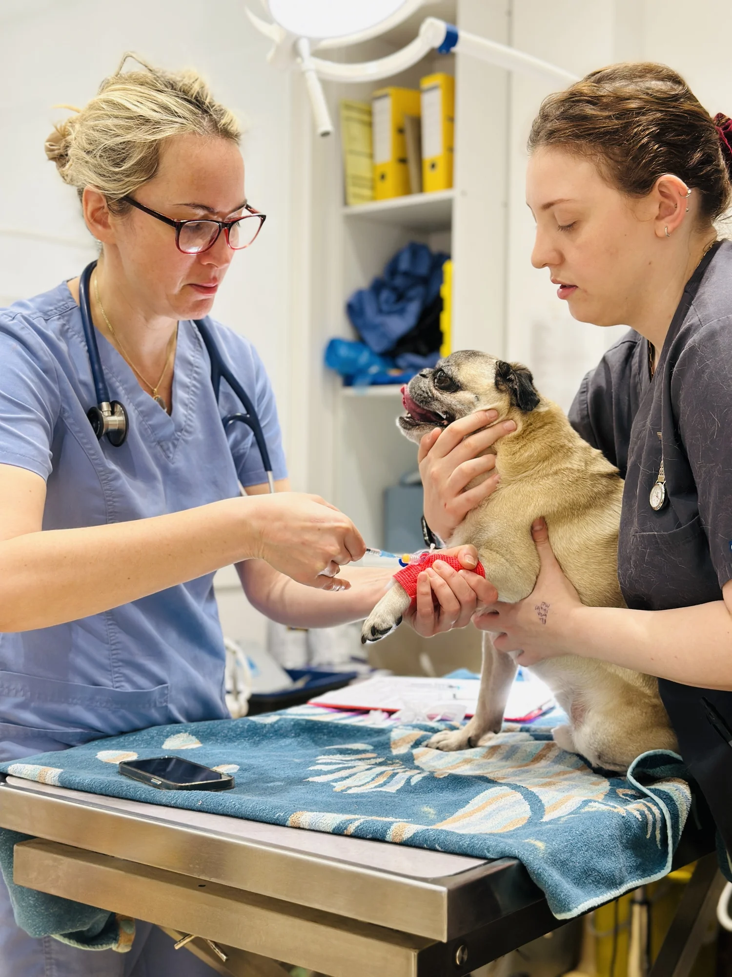 Independent vet, giving your pets the healthcare they deserve.