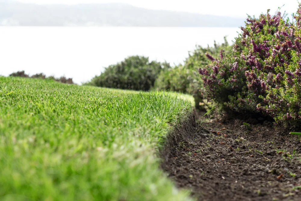 Popular Native Plants for your Garden | Victoria BC Landscaping ...