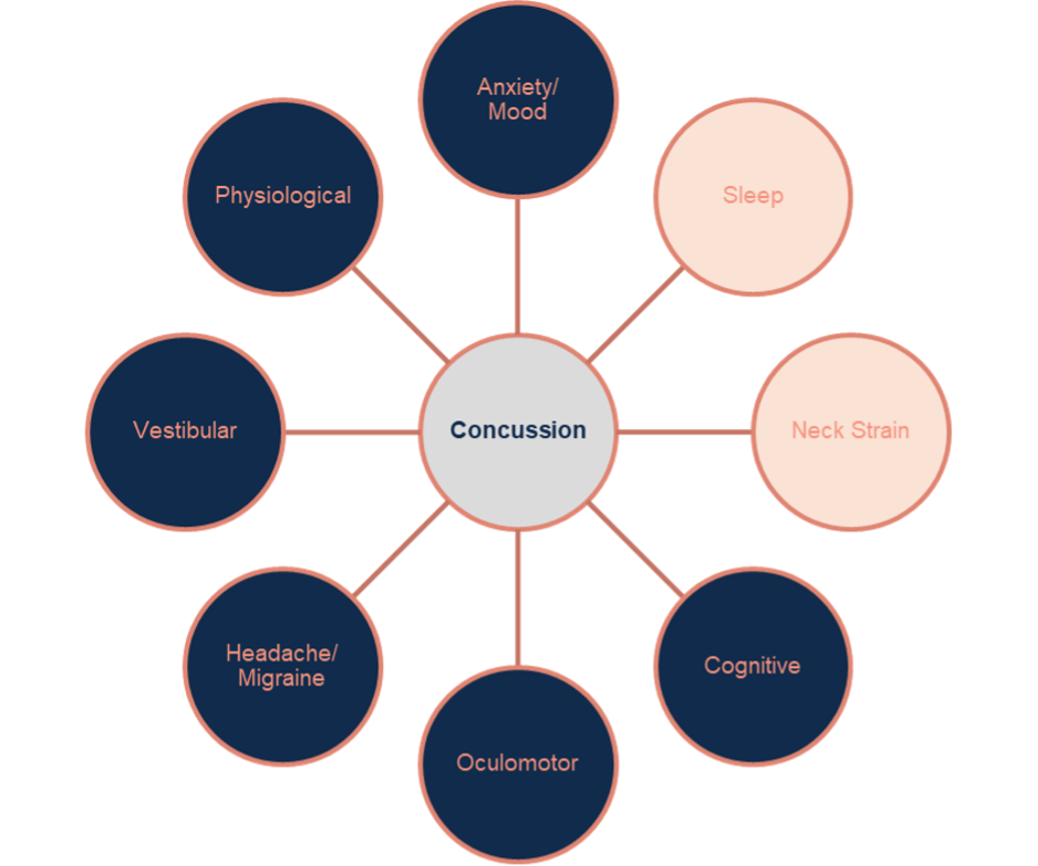 Getting your head right after a concussion — Neurological Physiotherapy ...