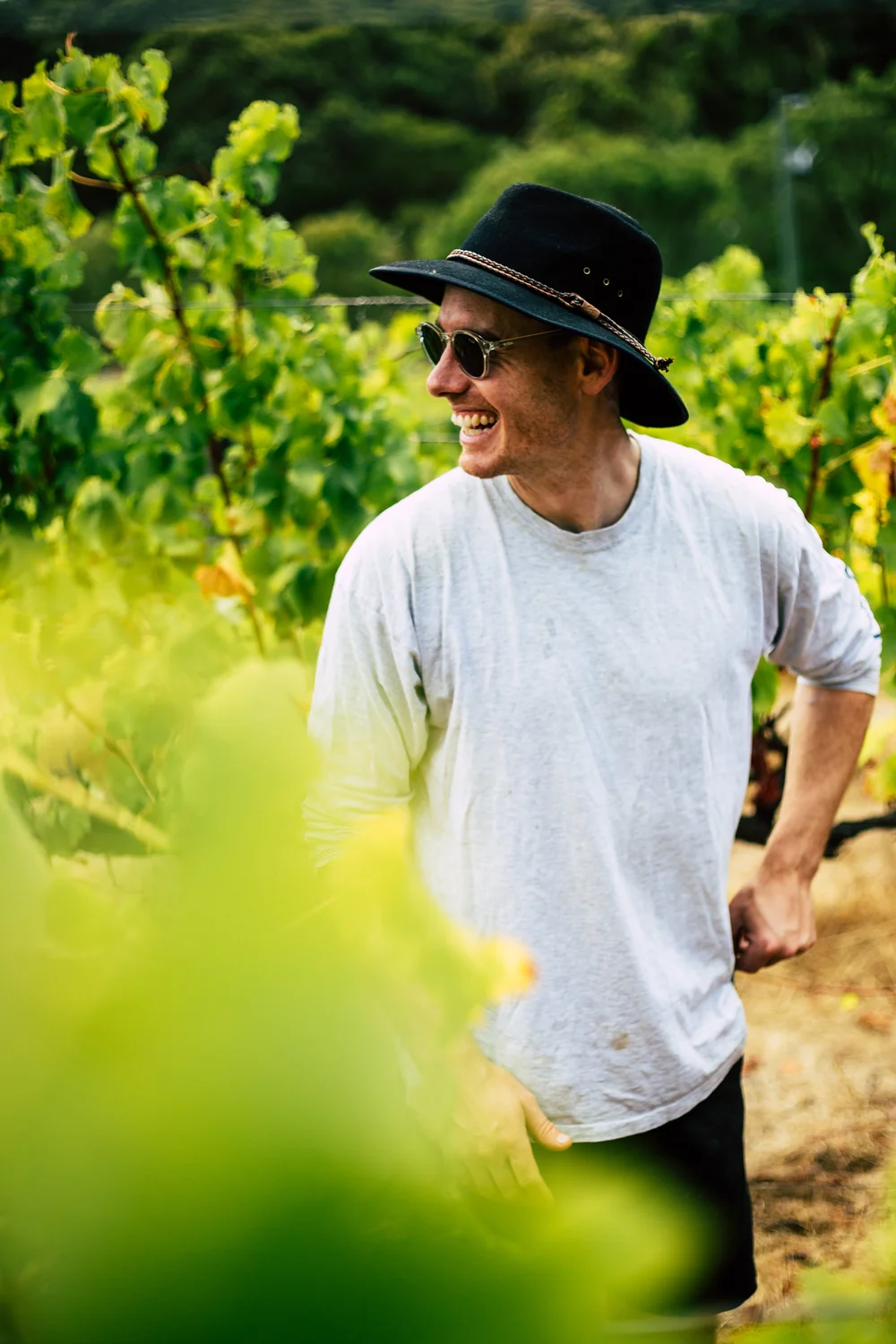 Our Story — SKIGH WINE