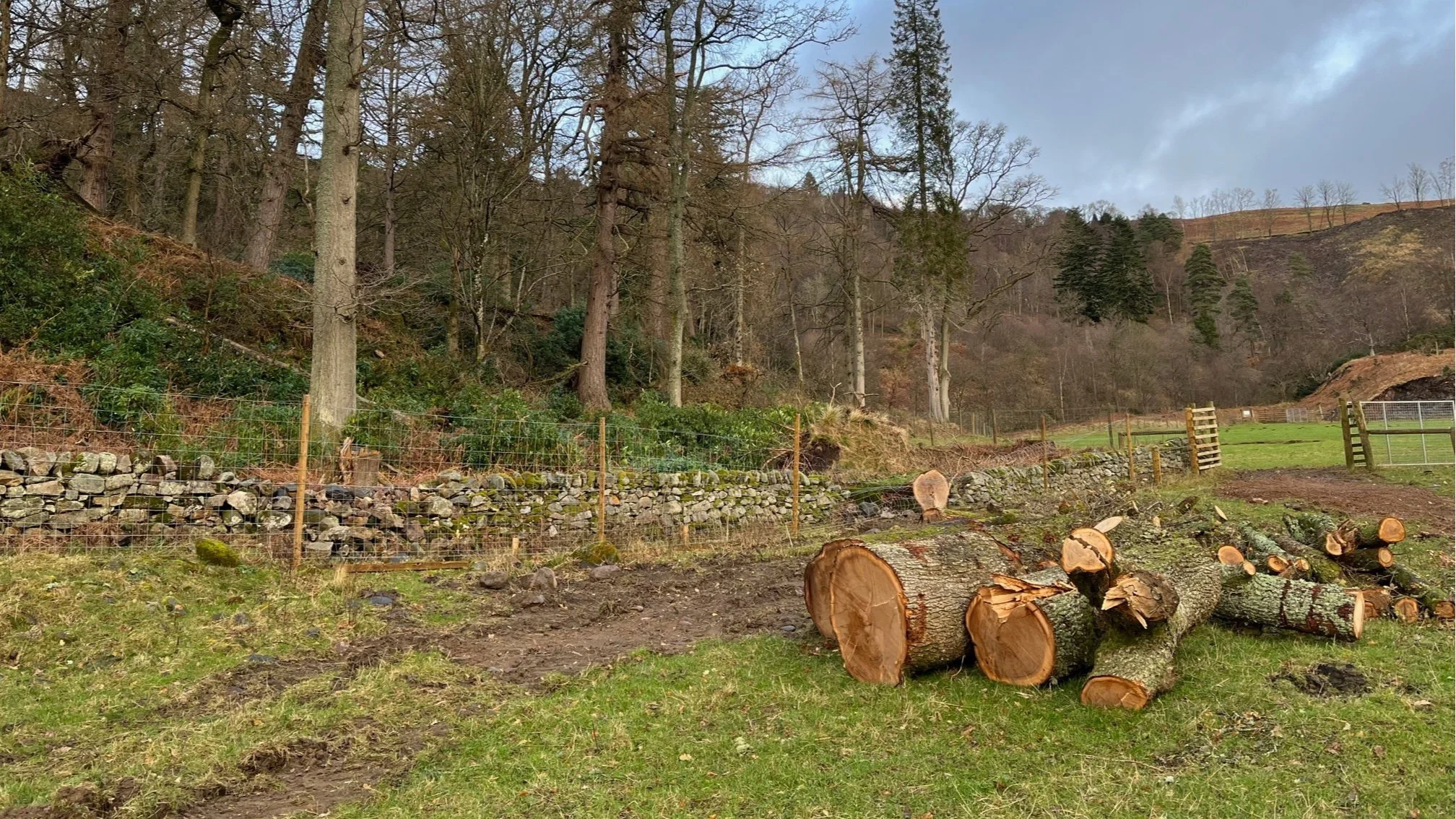 RHS Chelsea 2025 | Angus Ross | Designer and bespoke furniture made in ...