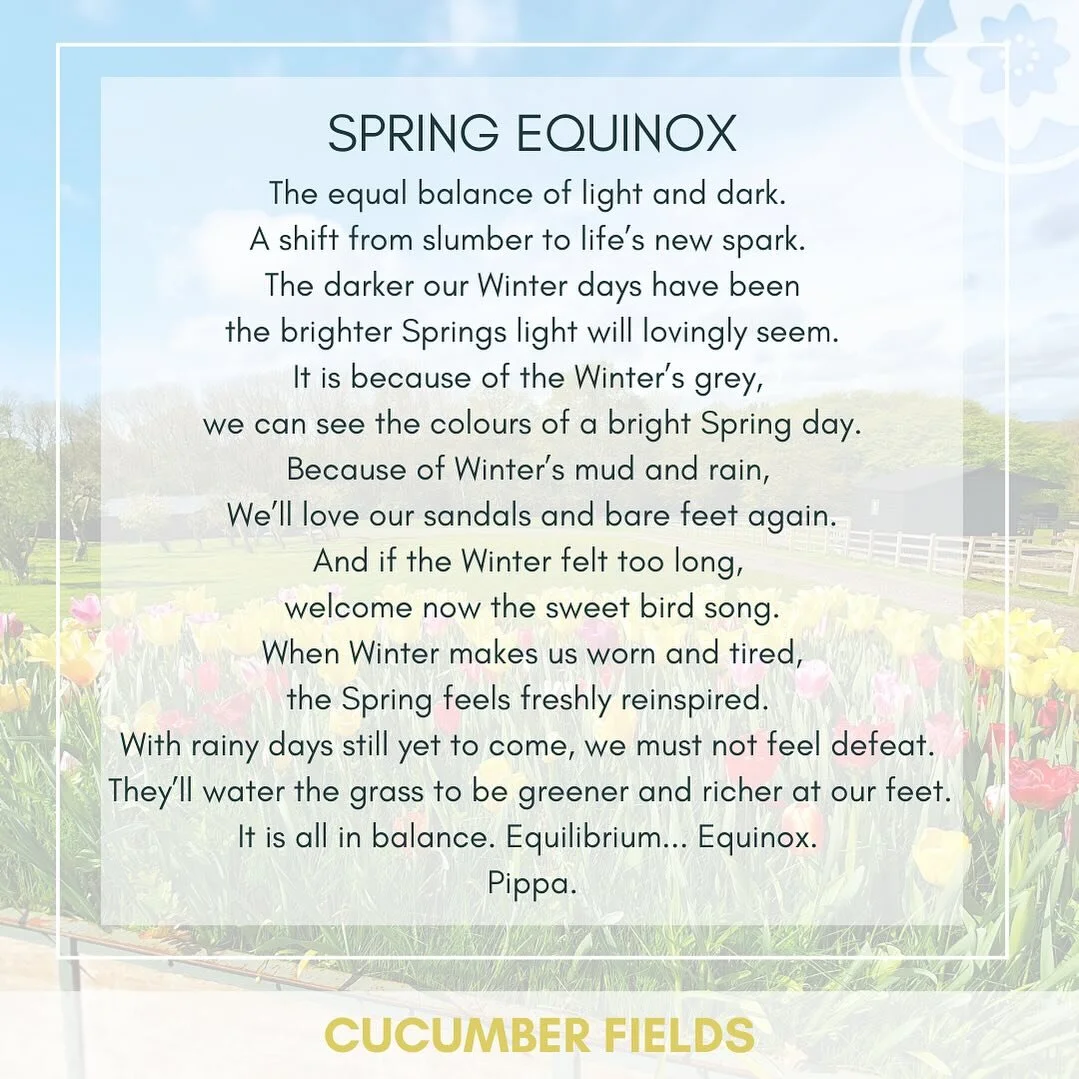 Events — Cucumber Fields