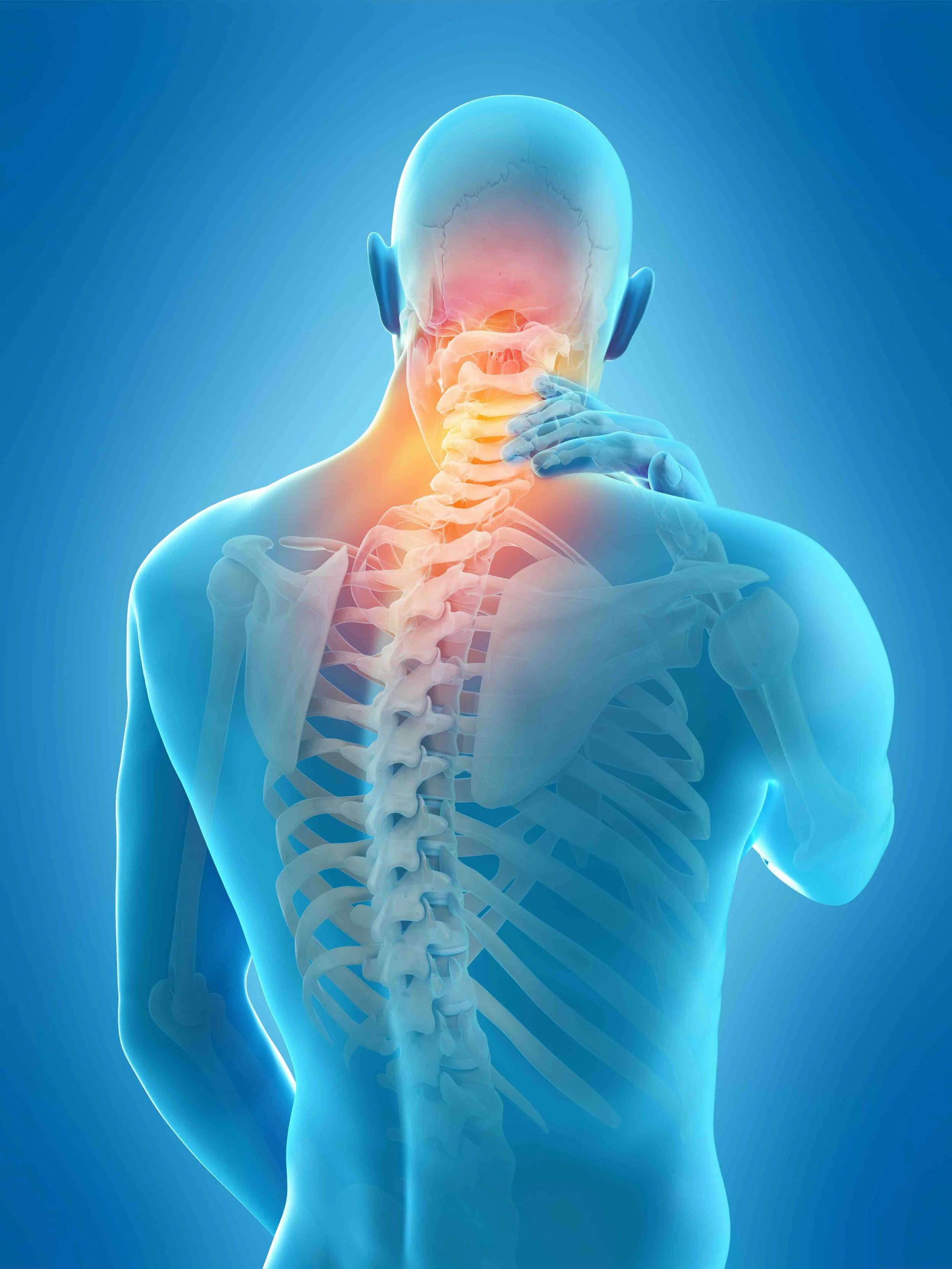 EPIC PAIN MGMT (973)866-0336