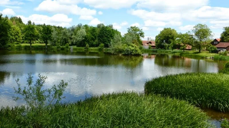 Programm — Forum Gersag Emmen