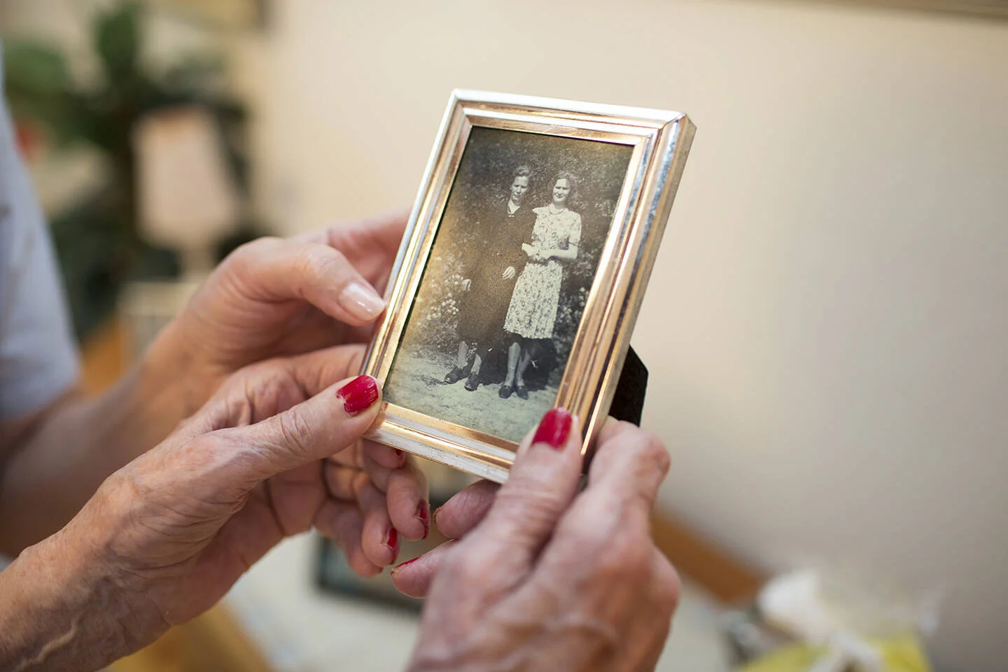 Programm — Forum Gersag Emmen