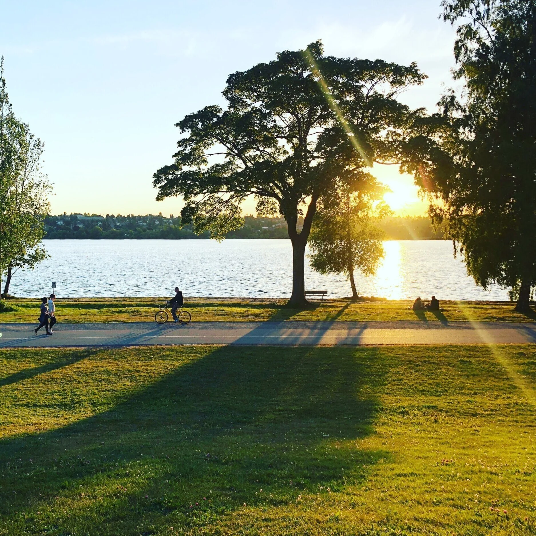 Reuse vs Single-use: Economics — Upstream