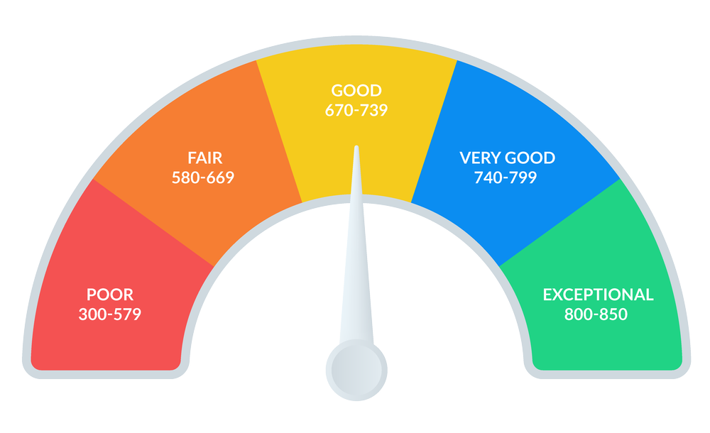 Grow & Learn: Credit 101 — Grow Credit Blog