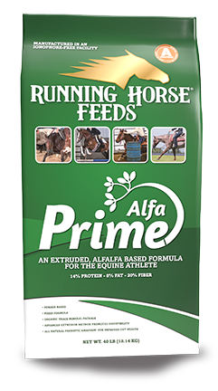 Running Horse Feeds — Running Horse