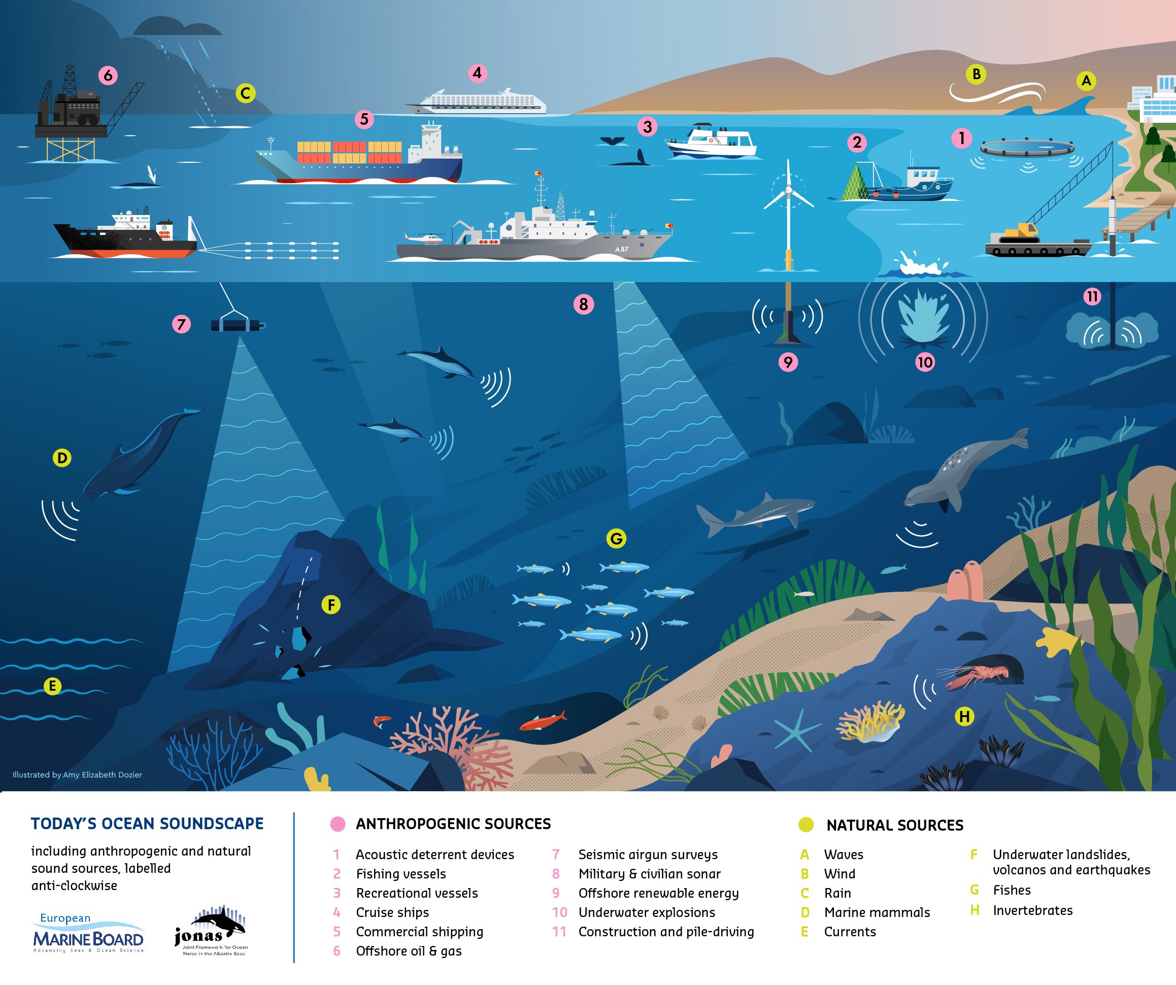 marine pollution: ocean noise — oceans aware
