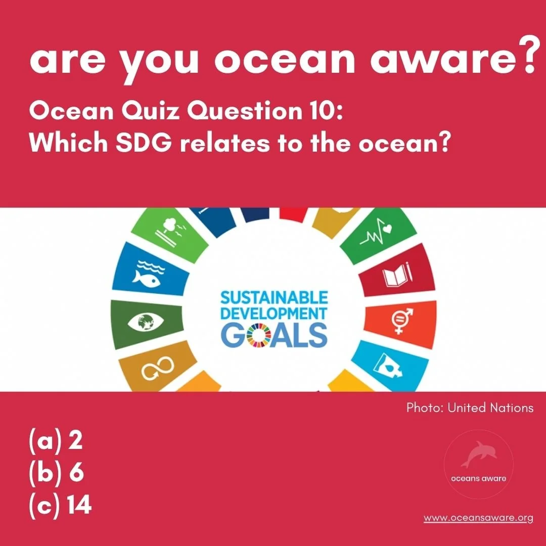 ocean literacy quiz — oceans aware