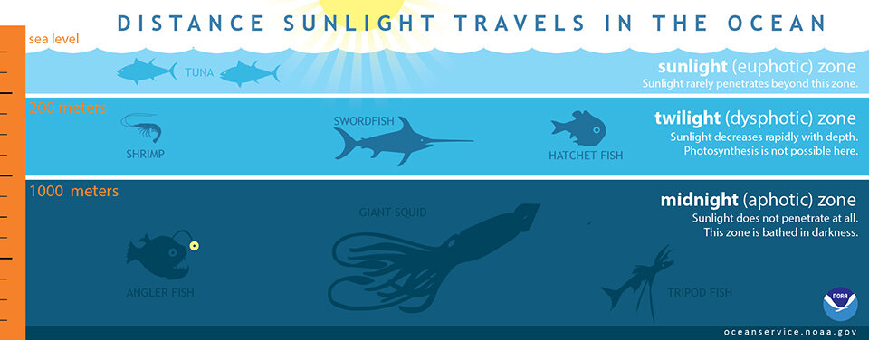 ocean habitats — oceans aware
