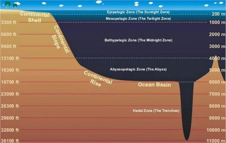 ocean habitats — oceans aware