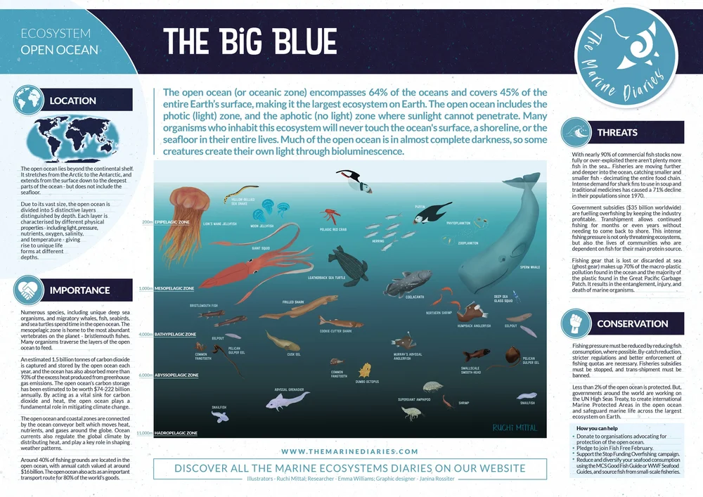 ocean habitats (High Seas) — oceans aware