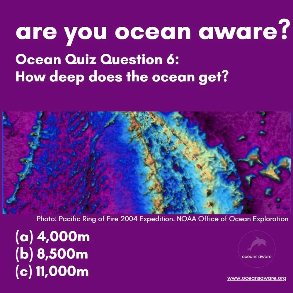 ocean literacy quiz — oceans aware
