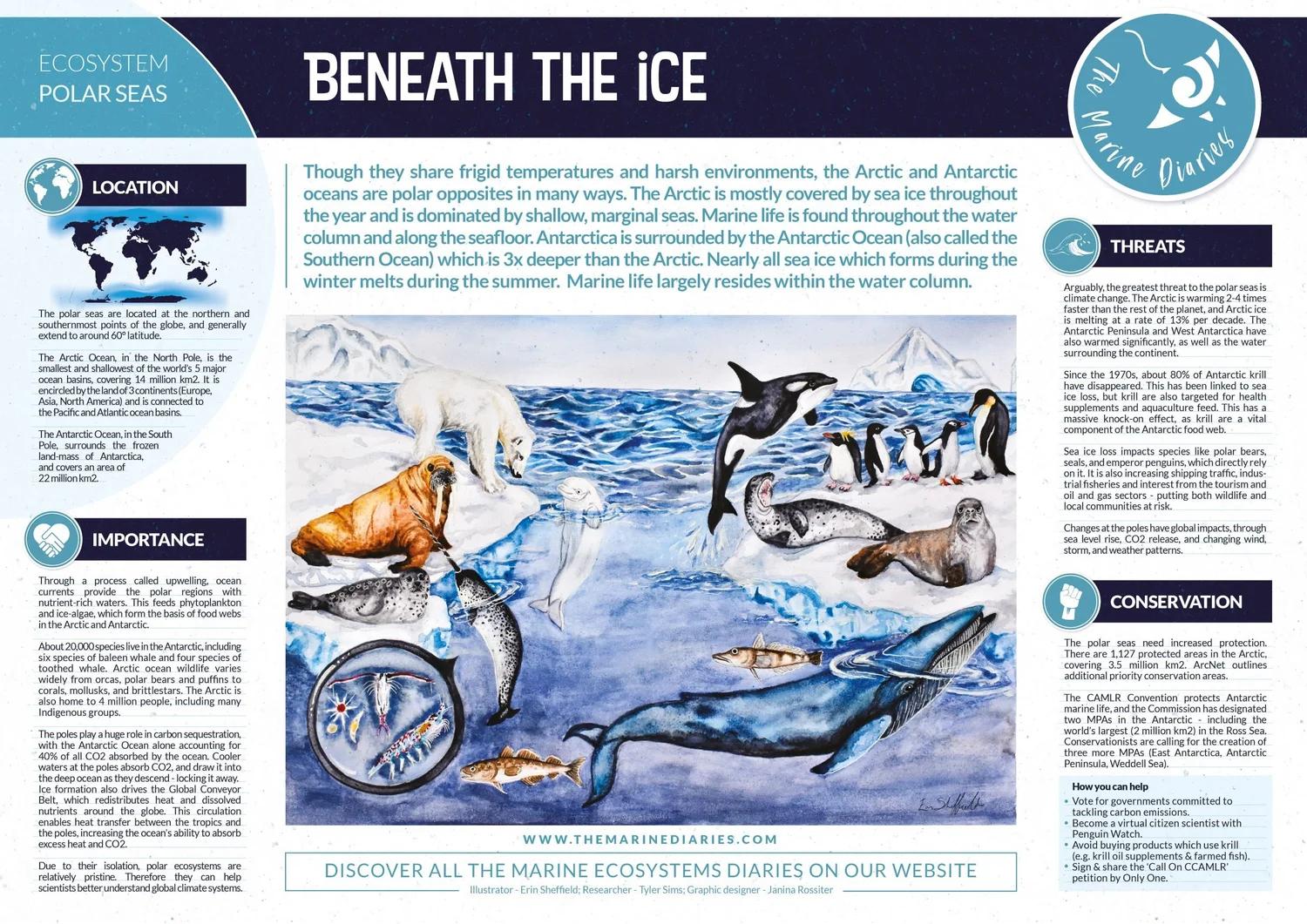 ocean habitats (polar zones) — oceans aware