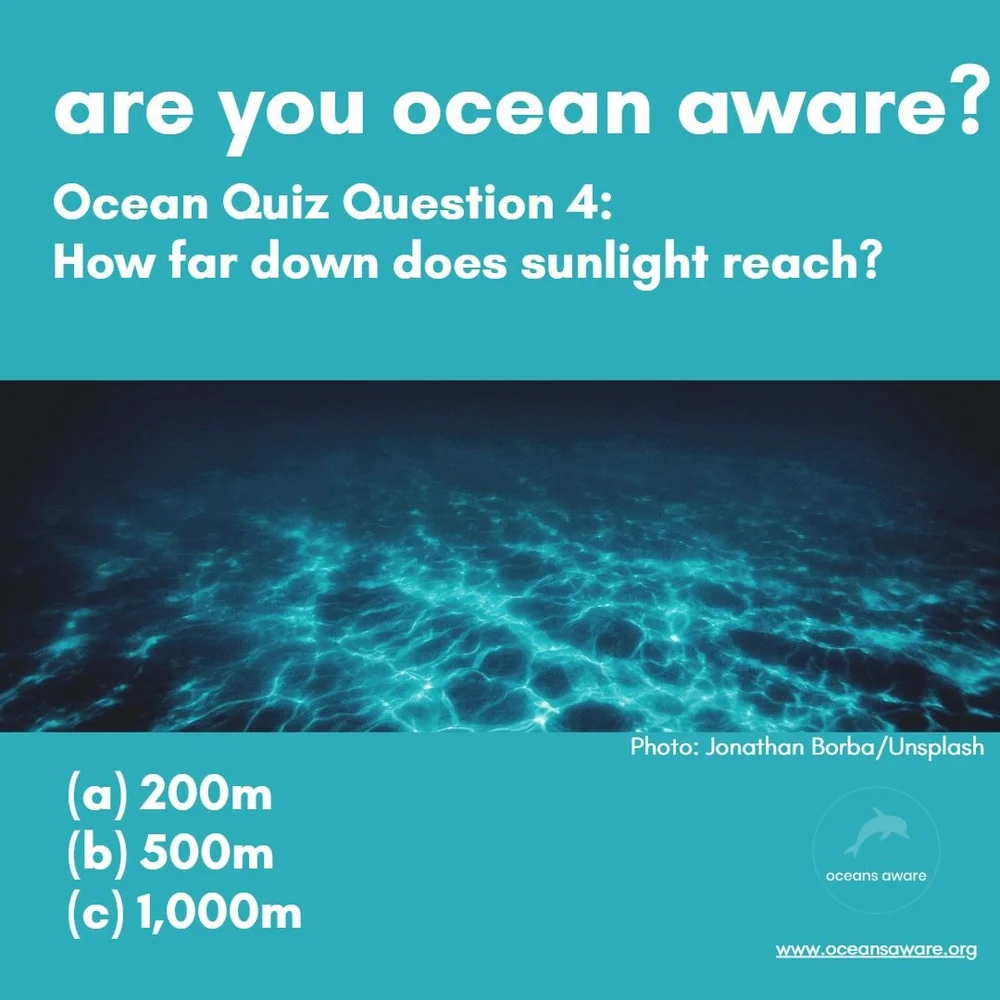 ocean literacy quiz — oceans aware