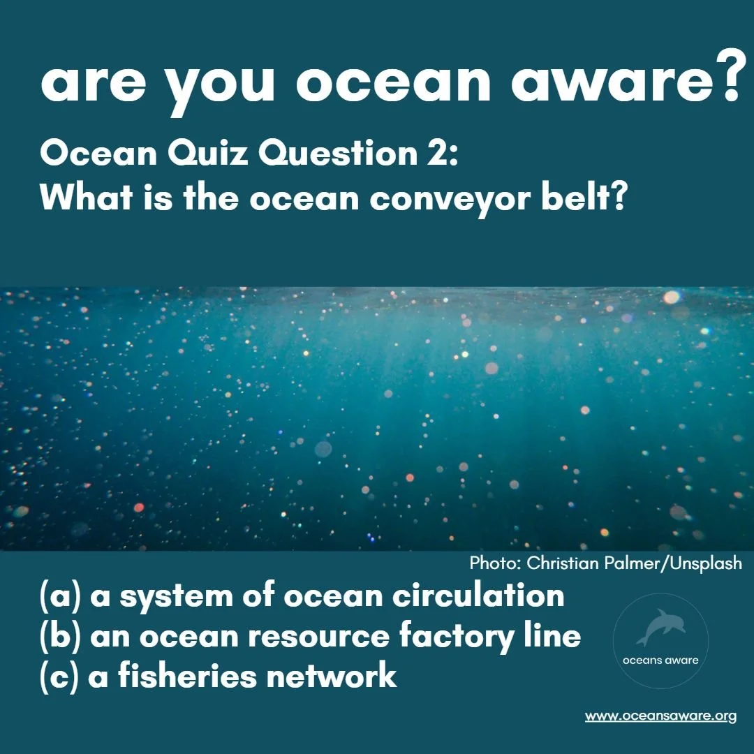 ocean literacy quiz — oceans aware