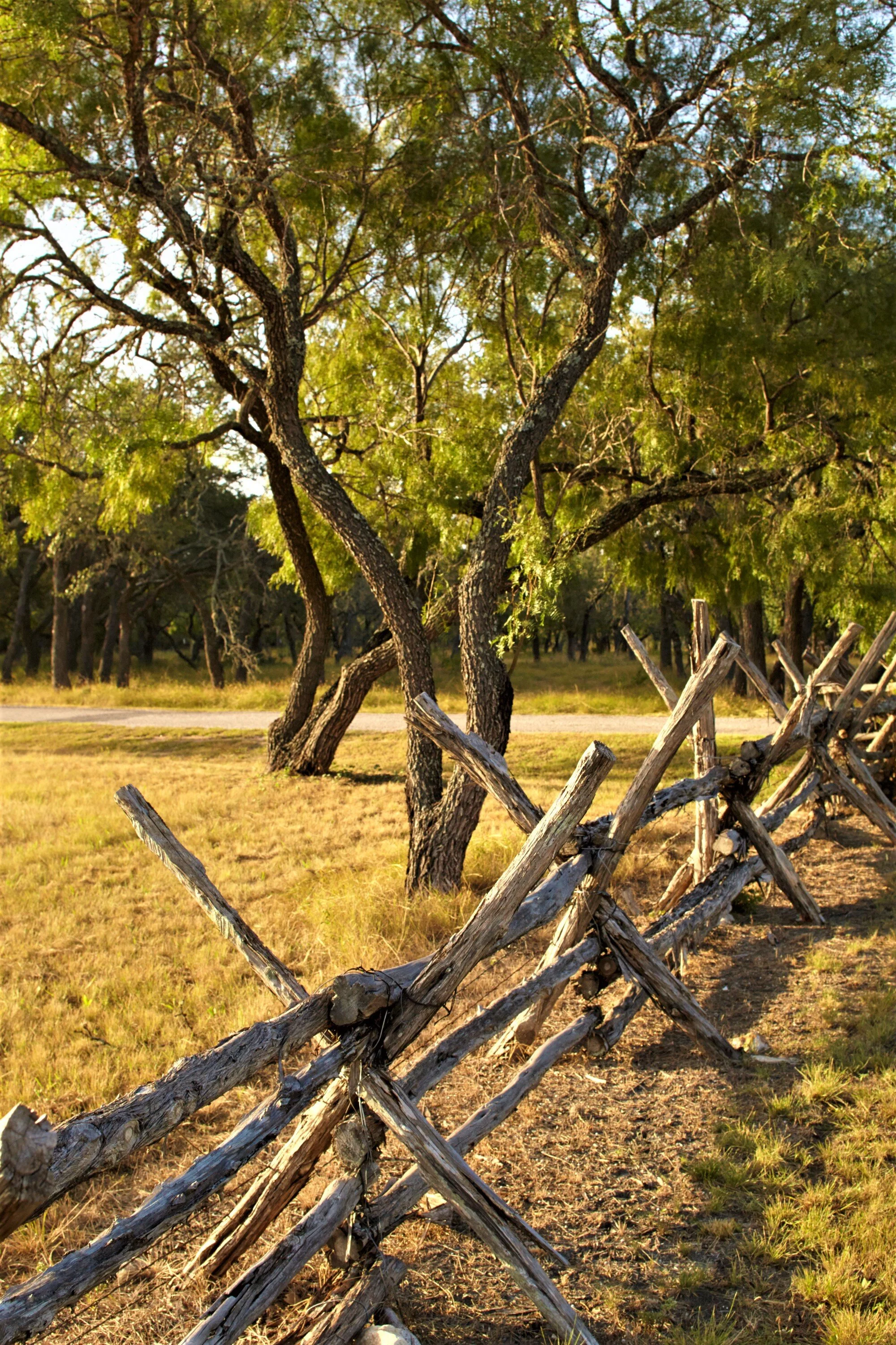 Gallery of Settlers Crossing — Settlers Crossing