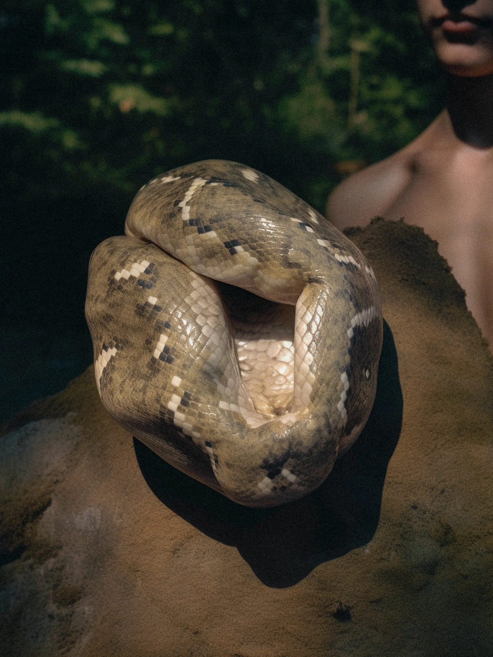 Belly of a giant serpent – Prophecy — ZERO.NINE