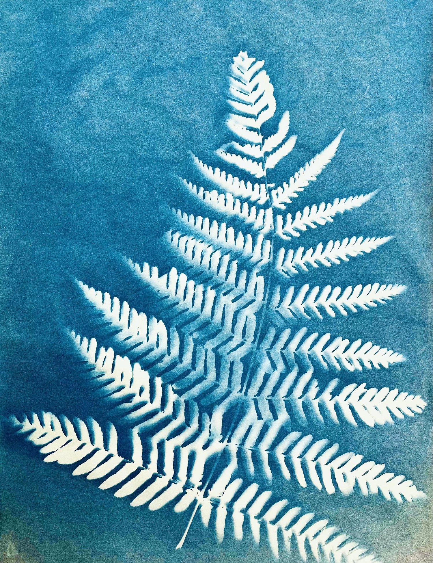 How To DIY Cyanotype Photography — Courtney Marie Taylor