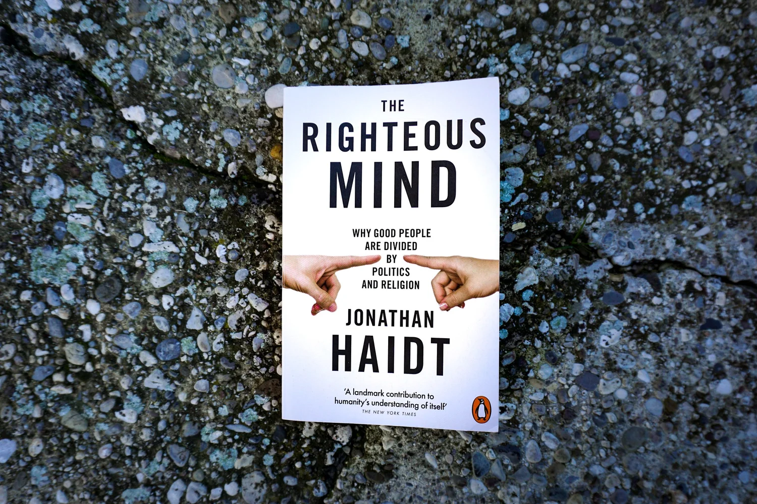The Righteous Mind | Riassunto e note | Recensione libro — Davide Cimitan