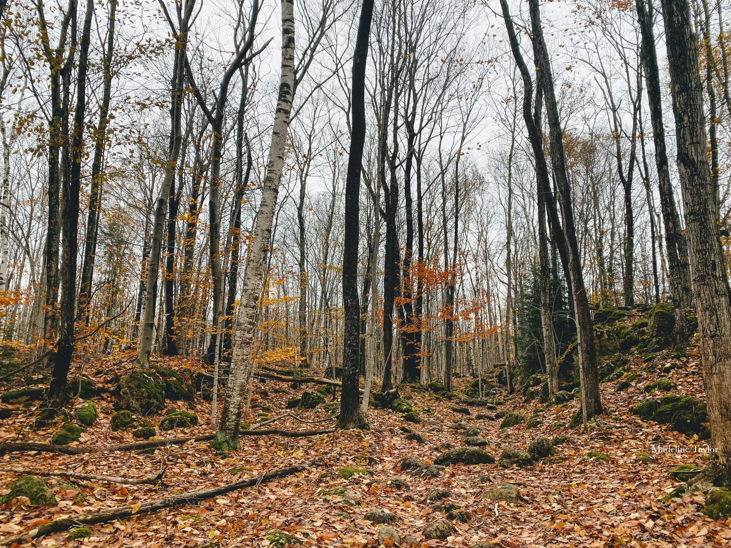 About Us — Rebalancing Act