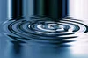 Little t Trauma: The Cumulative Effect of Everyday Distress — Ambre ...
